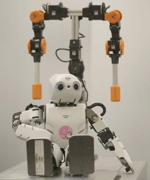 Nadine Wirkuttis, Predictive Brains and Embodied Social Interaction: A Neurorobotics Approach ...